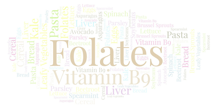 4 Key Benefits of Folate for Women’s Health | Performance Lab®
