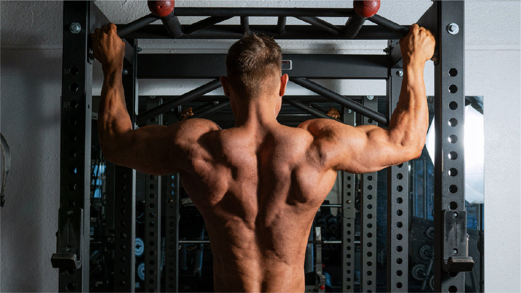7 Best Back Exercises for Thickness and Strength | Performance Lab®