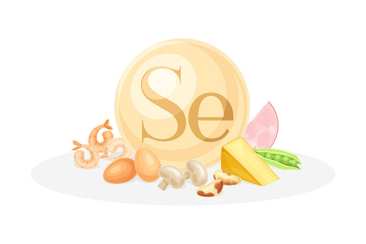 What Foods Have Selenium? Top 15 Natural Sources | Performance Lab®