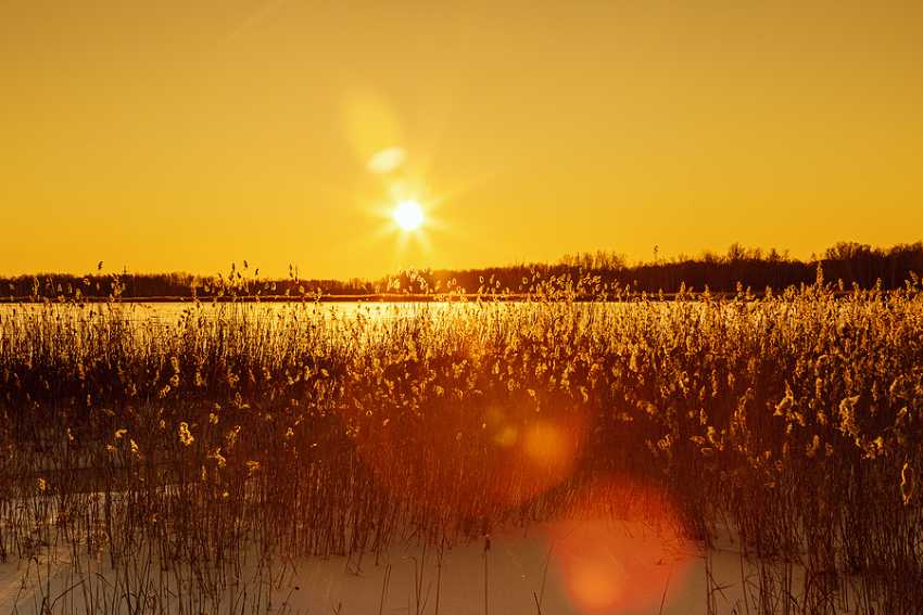 How to Get Enough Vitamin D During Winter Months | Performance Lab®